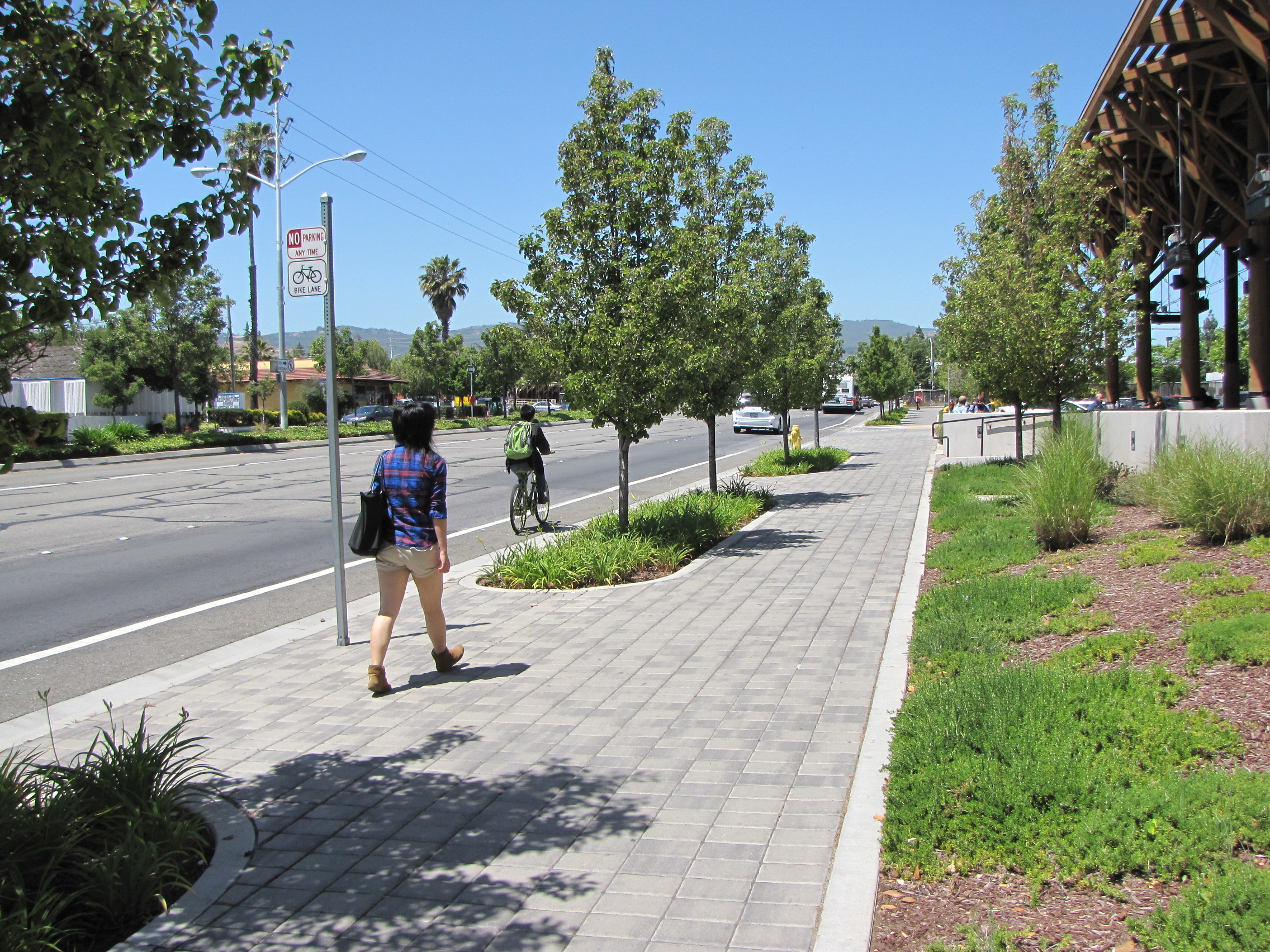 Pedestrian Program | VTA